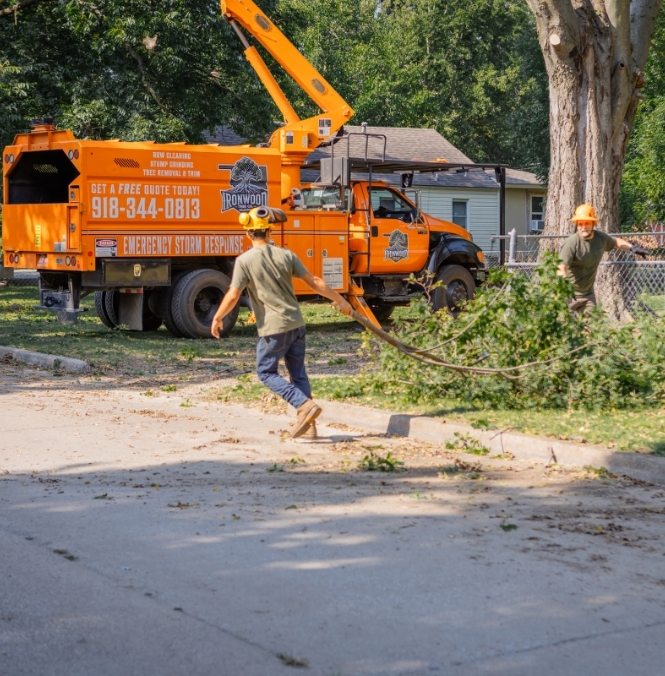 Tree Service Tulsa OK | Expert Tree Removal | Ironwood Tree Co
